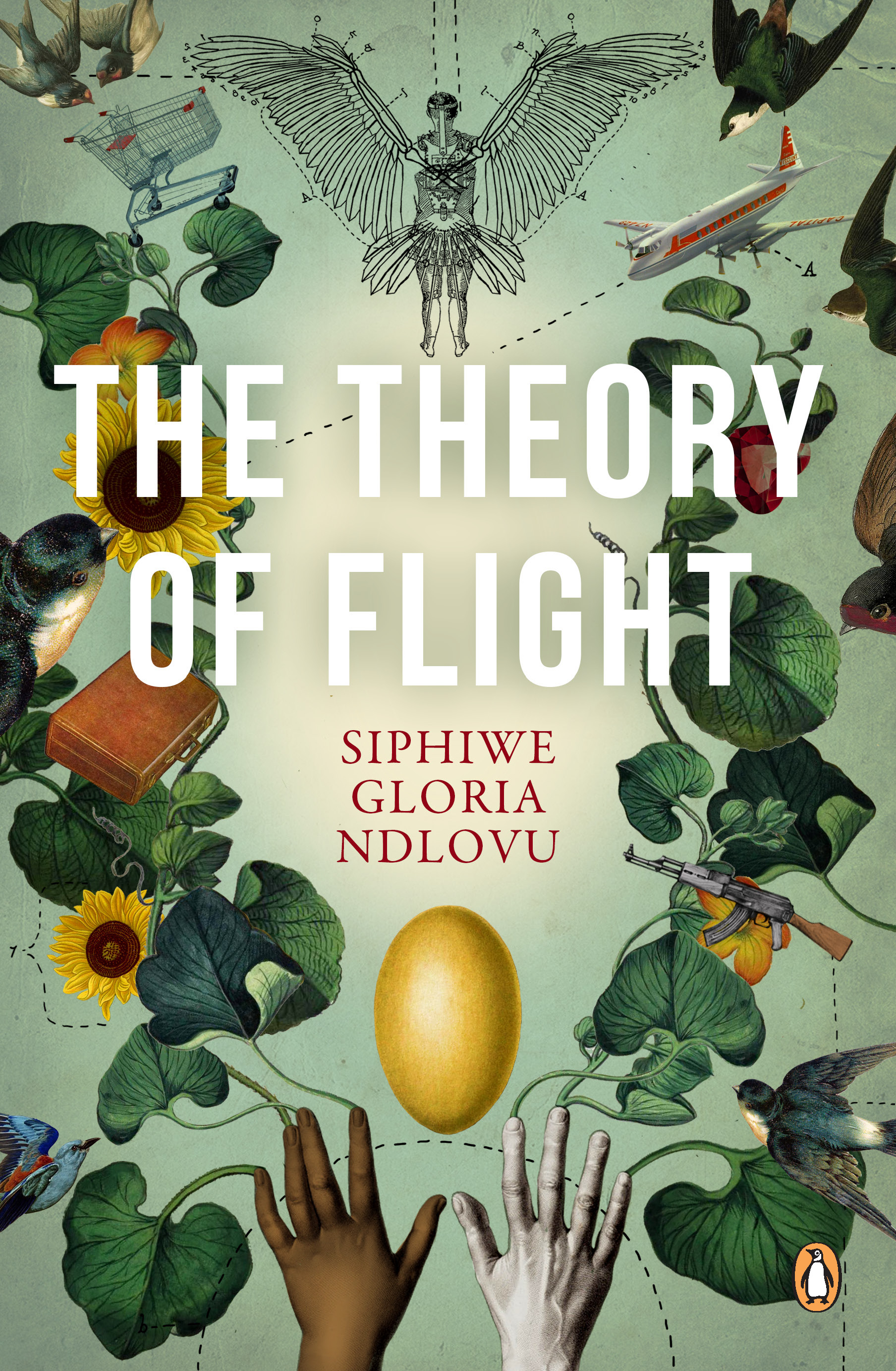 The Theory of Flight by Ndlovu, Siphiwe Gloria | Penguin Random House South Africa